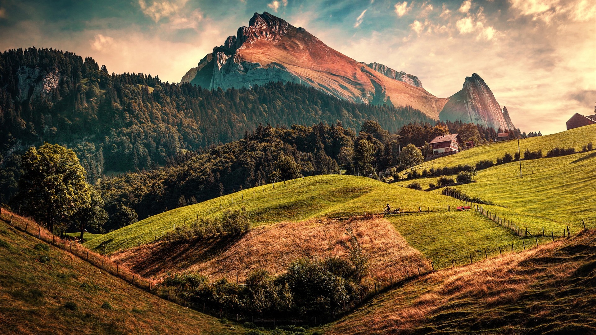 102599-1920x1080.jpg (1920×1080)