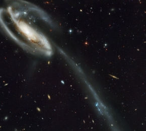 The Tadpole Galaxy (UGC 10214) by Nasa Hubble Telescope - Desktop Wallpaper