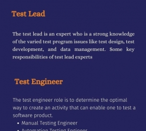 Software Tester Job Roles and Responsibilities | Our Job Agency ...