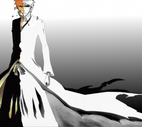 Bleach Hollow Within by ??? - Desktop Wallpaper