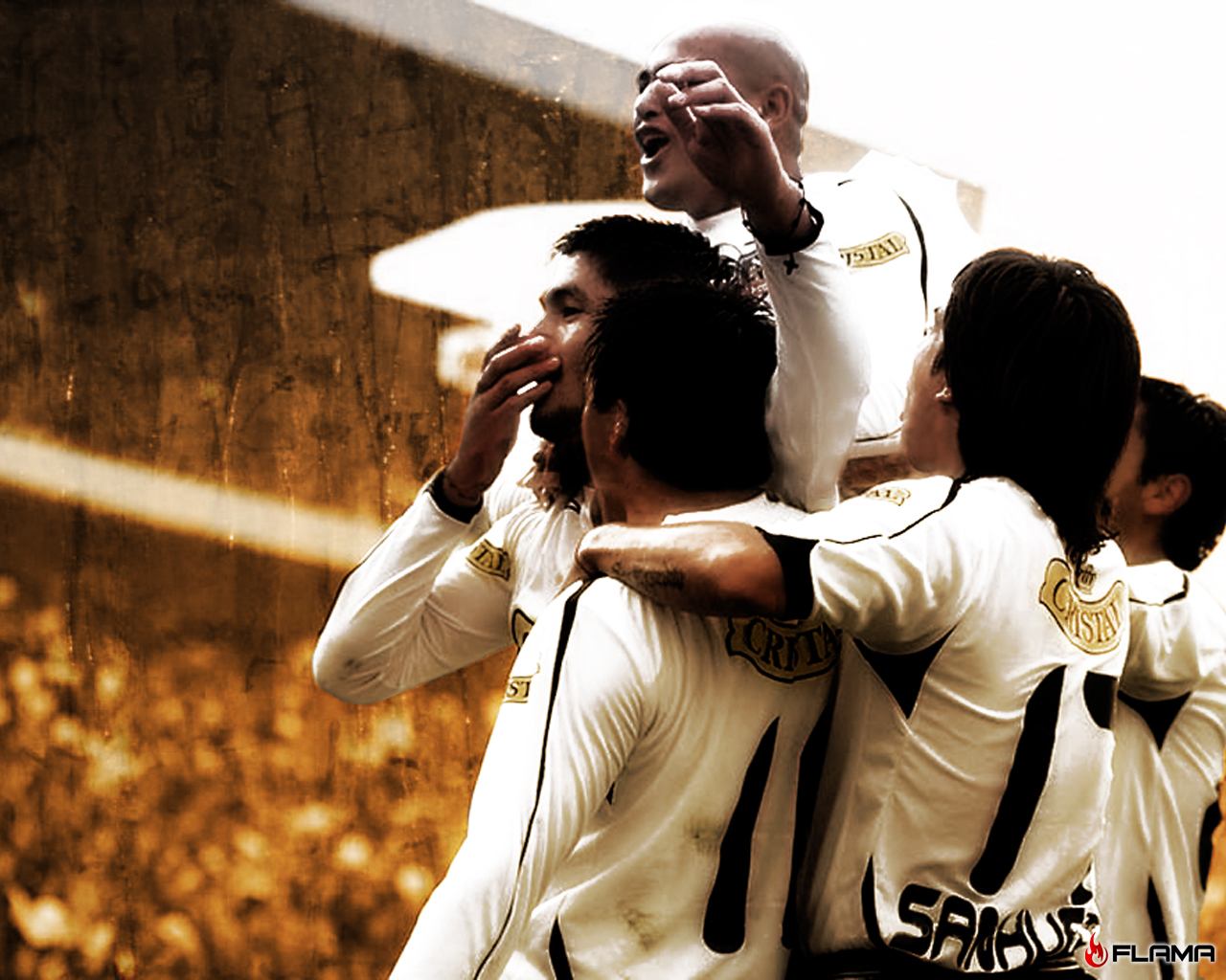 Wallpapers colo colo HD - Imagui