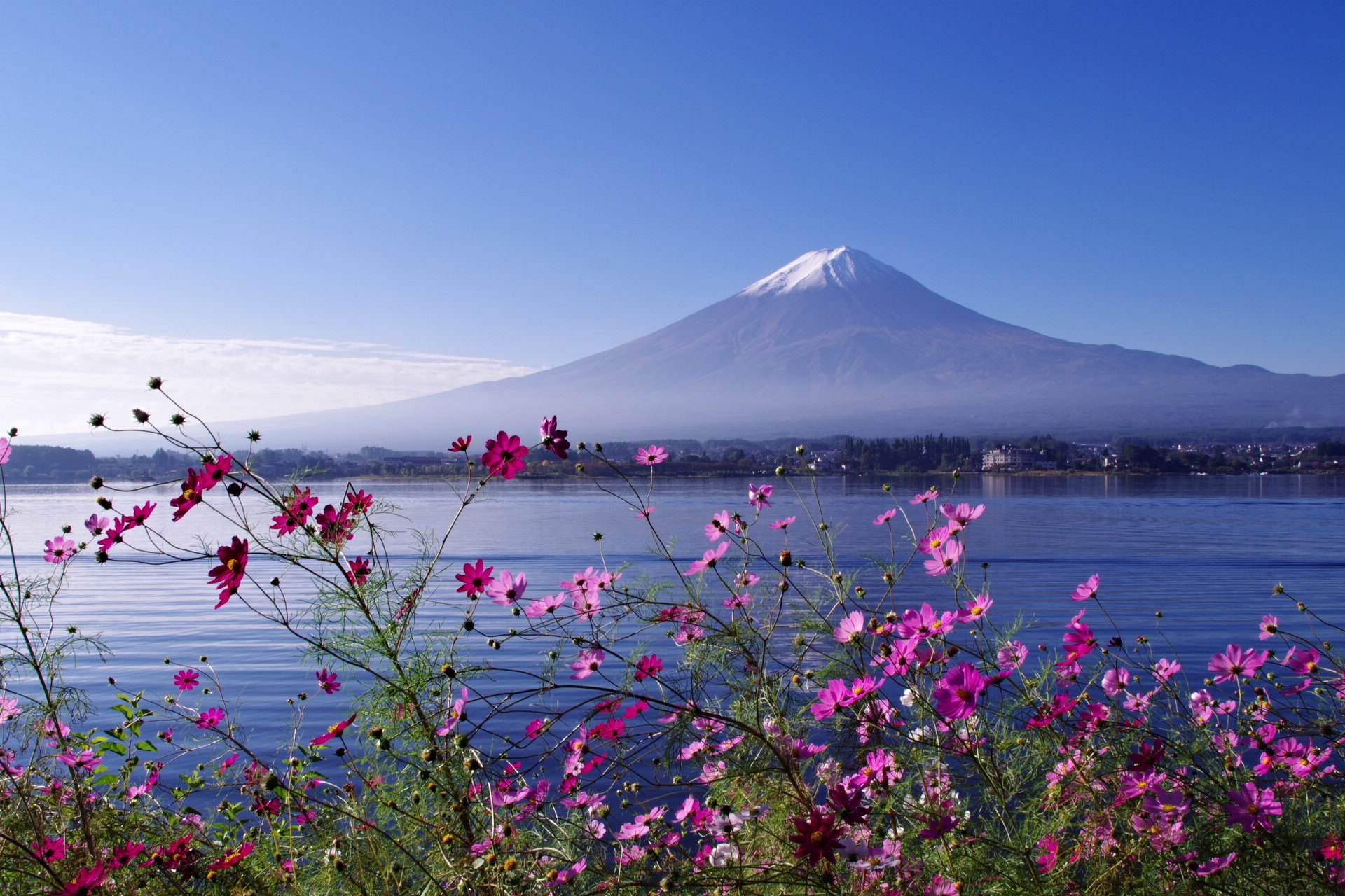 wallpaper - Desktop Wallpaper