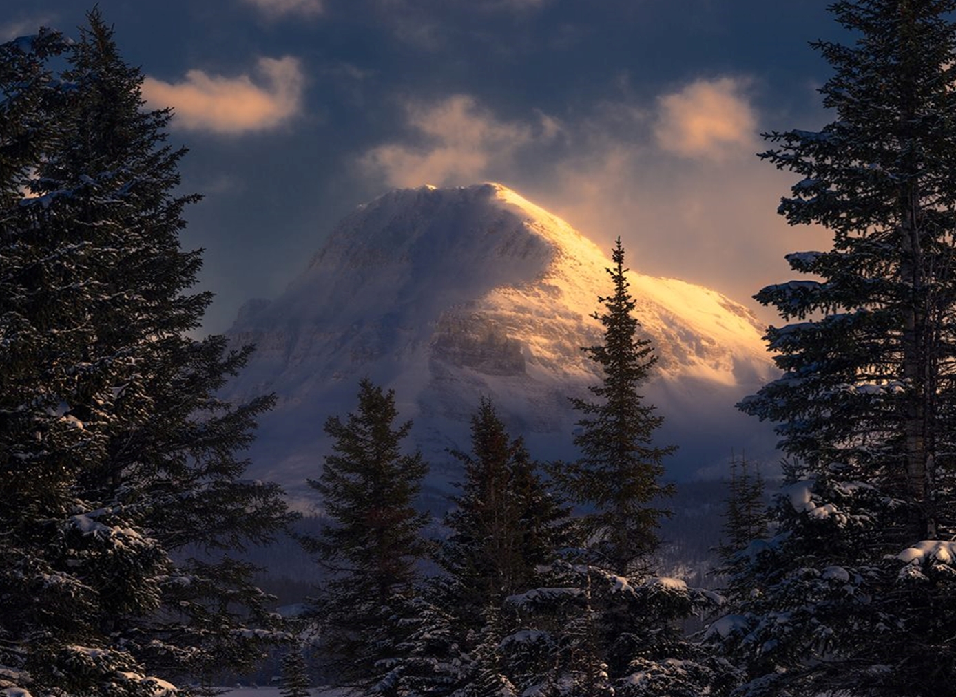 dar - Desktop Wallpaper