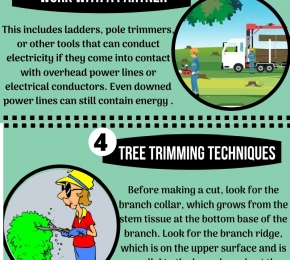 6 Tree Trimming Safety Tips - Desktop Wallpaper